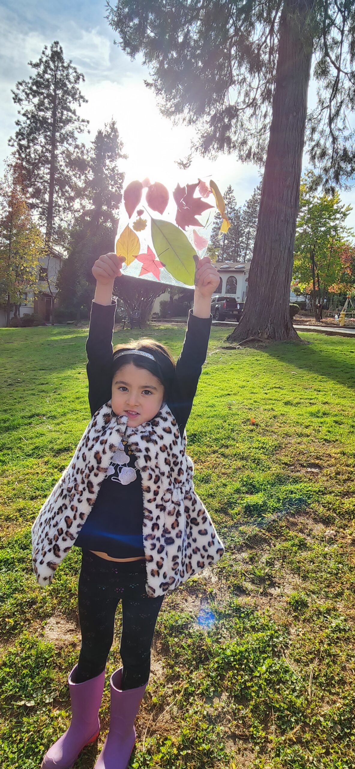 Outdoor Explorers – Kids nature learning and play class.